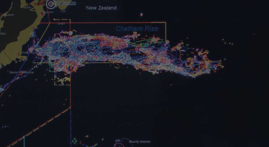 Traceability | Okains Bay Seafood